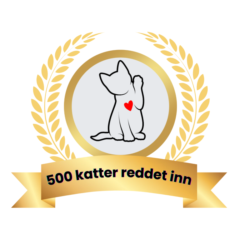 Hjerte for Hjemløse Katter | Adoptere Katter & Kattunger